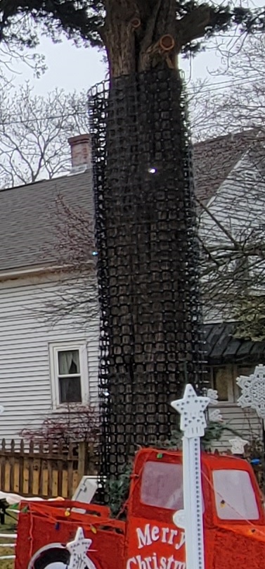Using Tree Model for a Cylindrical Matrix | Merry On Cherry